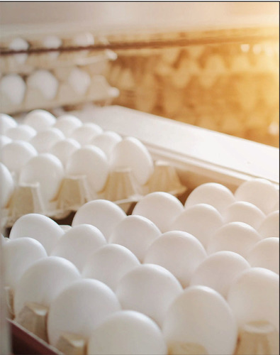 Egg Industry - January 2021 Top 25 US egg producers in 2021
