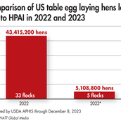 Egg Industry - The 60 largest US egg producers in 2024